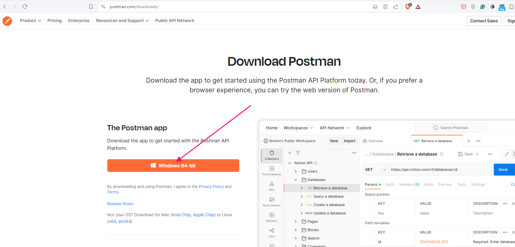 Install Postman on Windows - Selftuts